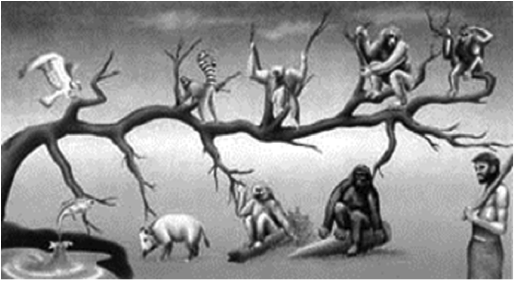 Charles Darwin y El Origen de las Especies: Un solo origen para todas ...