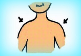 Conociendo Nuestro Cuerpo: Pecho