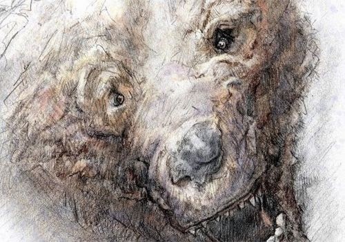 The Big Study: The Ghostly vs Biological Sides of the Central Asian Wildman