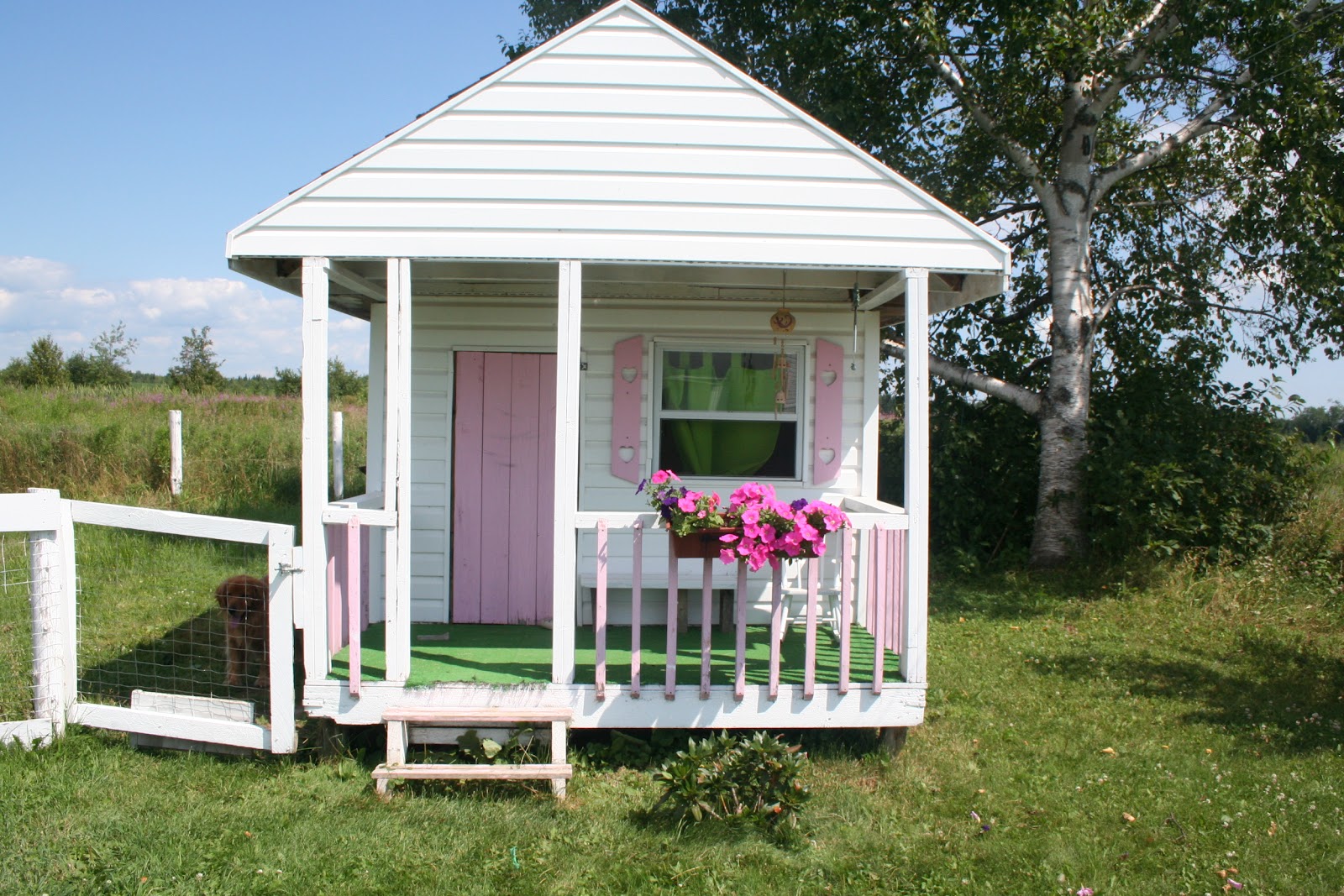 These Are The Days: Things Found Outside