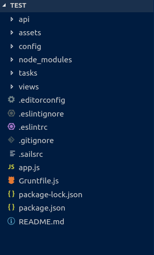 How To Install Sails.js With NPM - Codingster