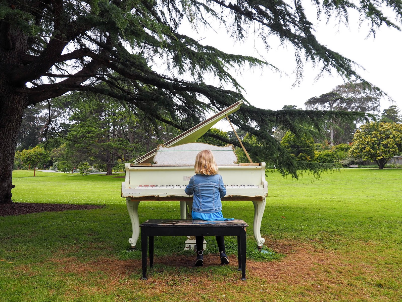 Little Hiccups: Flower Piano 2016