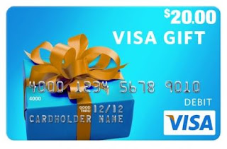 $20 Visa Gift Card Giveaway - 100 Winners - HEAVENLY STEALS