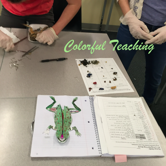 Colorful Teaching: Top 5 Reason Why You Should Do Dissection in Your ...