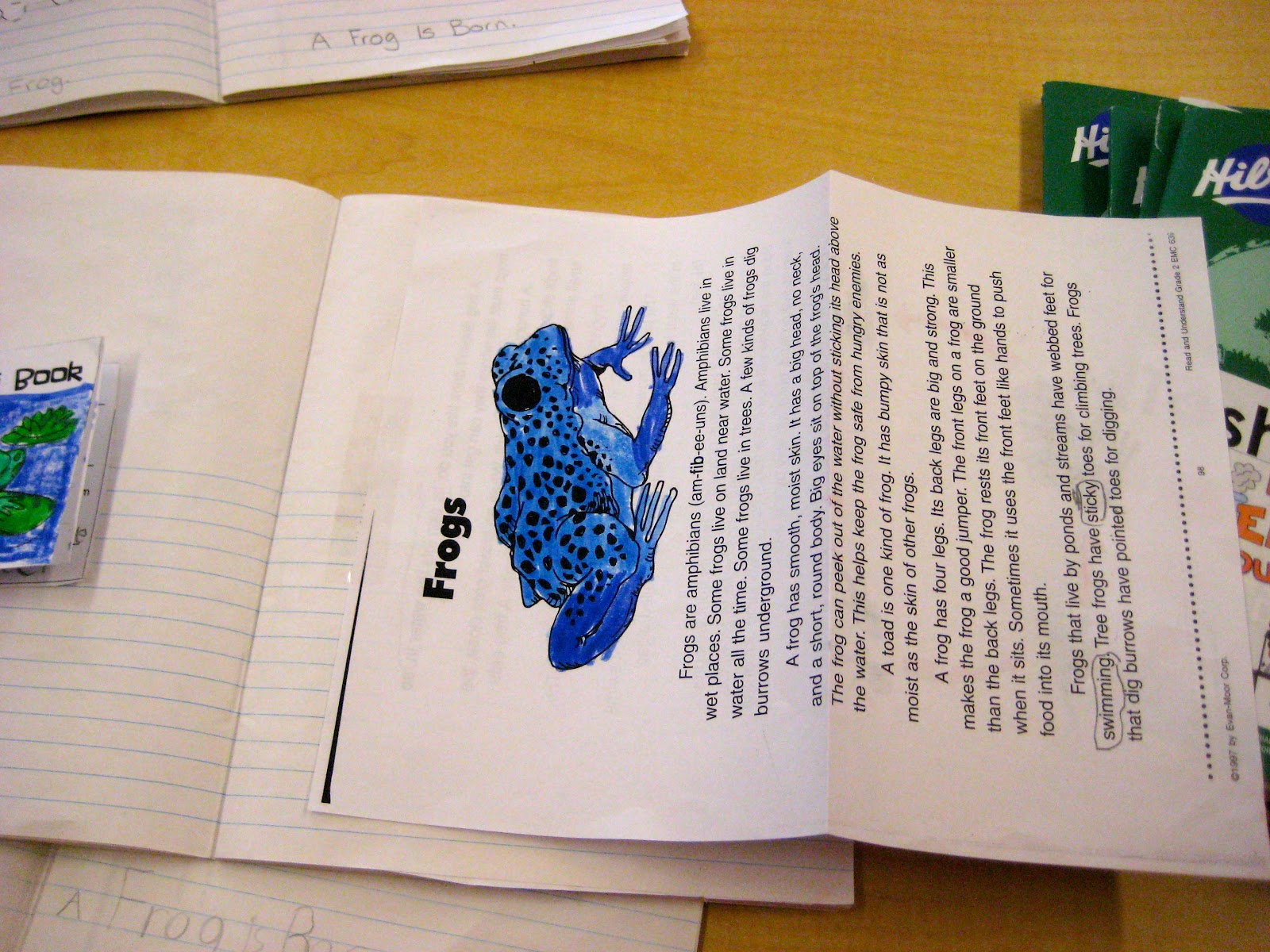 Ms. Liebel's Classroom: Science Journal - Frog Unit