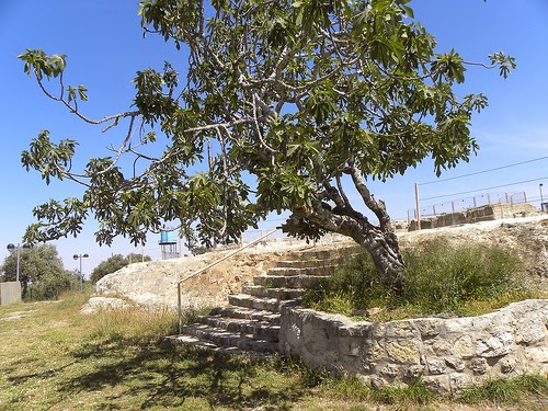 Anglican Orthodox Church Worldwide Communion: Devotion on the Miracles ...