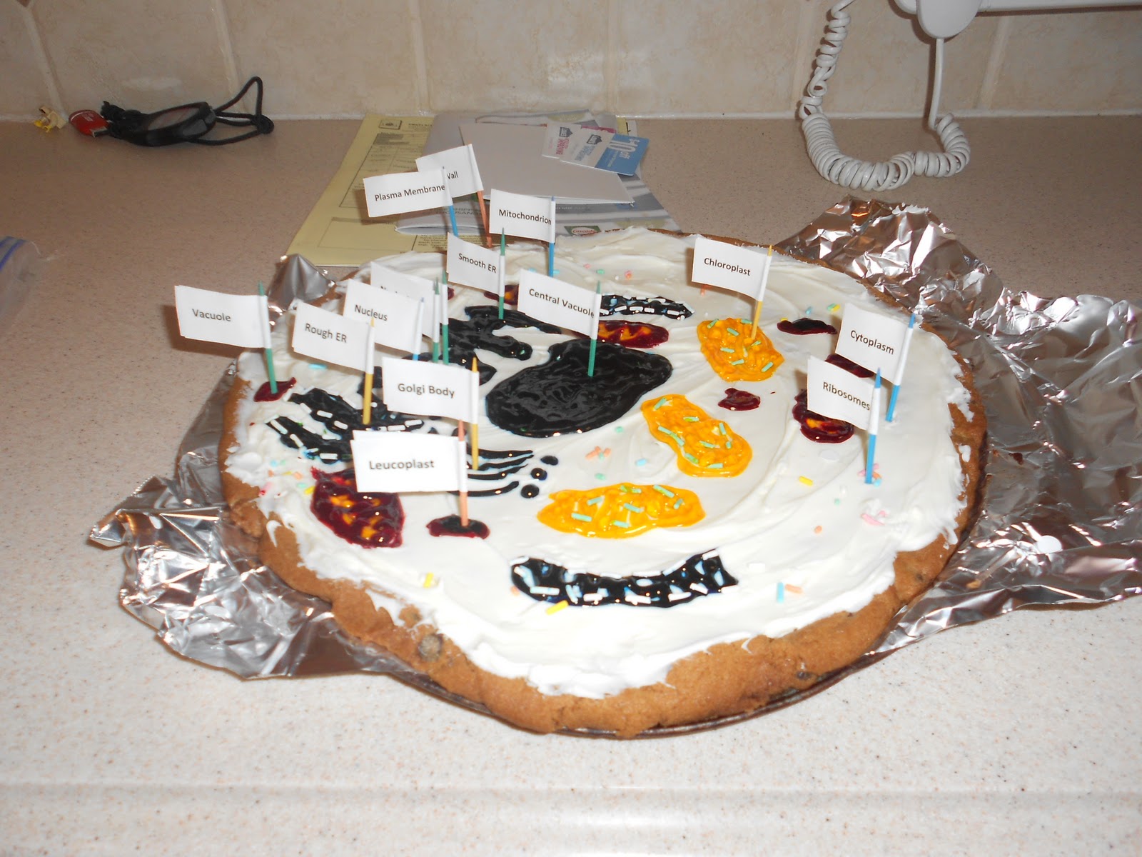 Eclectic Montage: Edible Science - Cellular Cookie