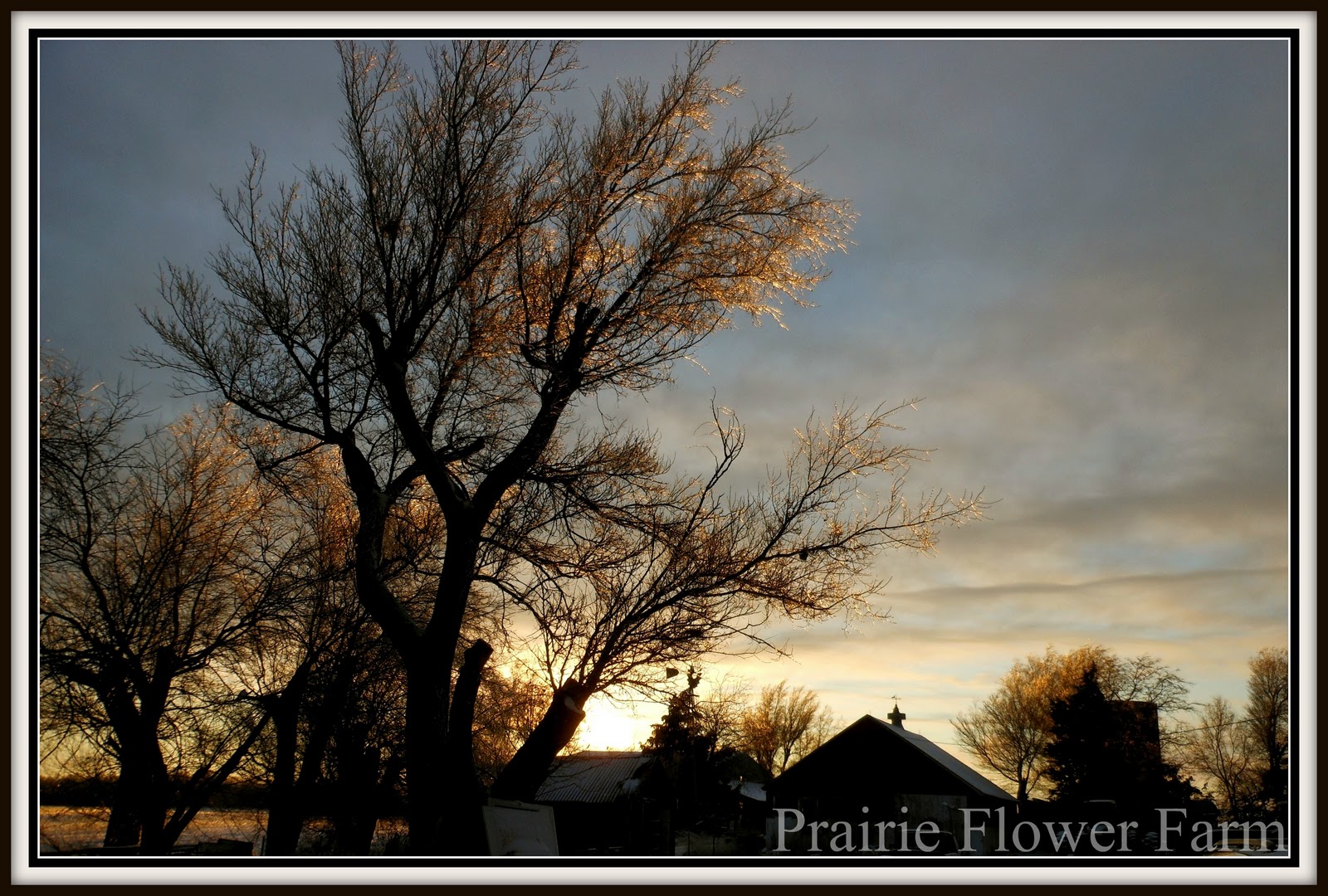 Prairie Flower Farm: What A Pretty Day It Is On The Farm!