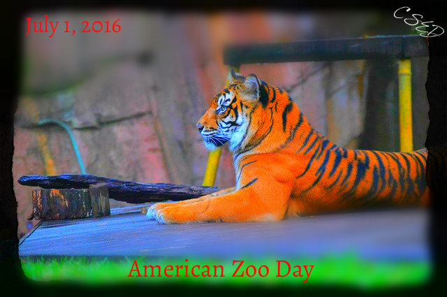 Crazy Days To Celebrate: July 1, 2016