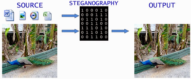 Digital image steganography