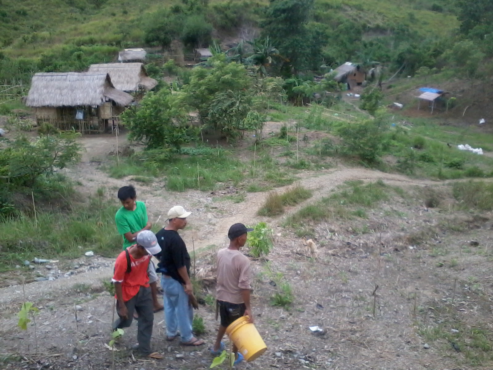 Sustainable Development: New Upland Dwellers and the DENR
