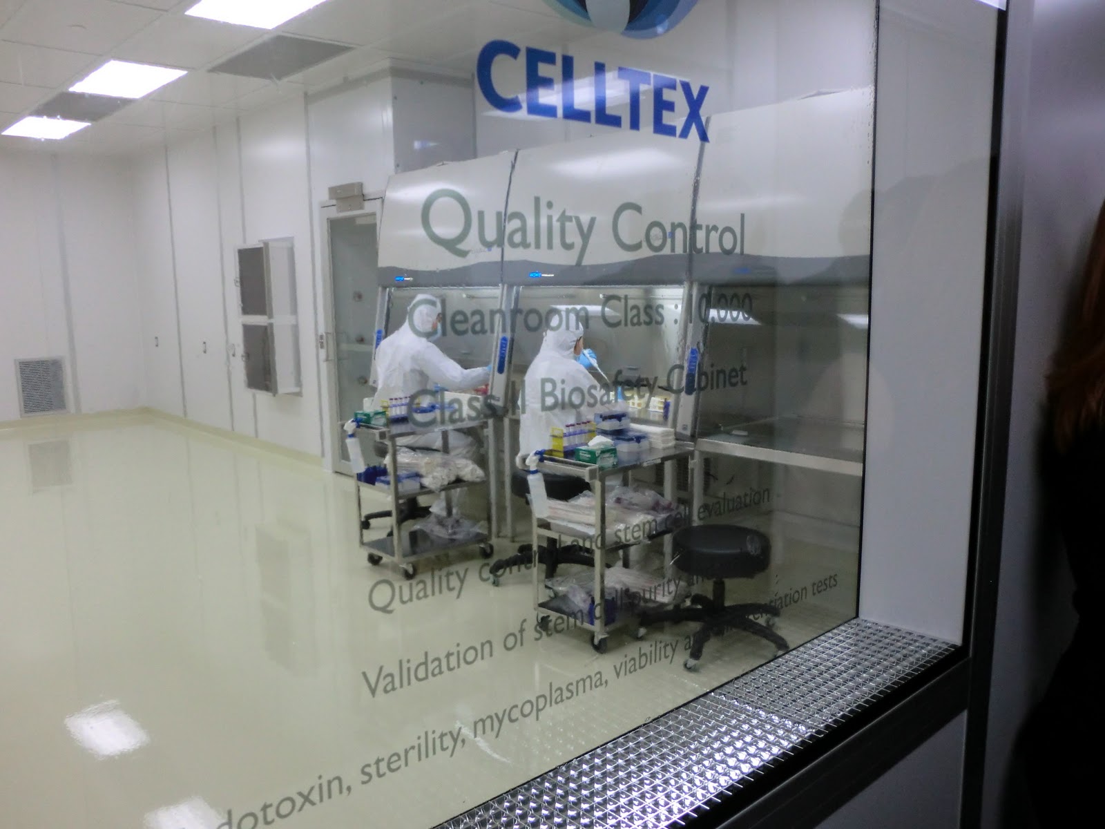 Debbie's Journey: Celltex Celebration