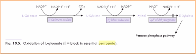 KNOWLEDGE: PENTOSURIA