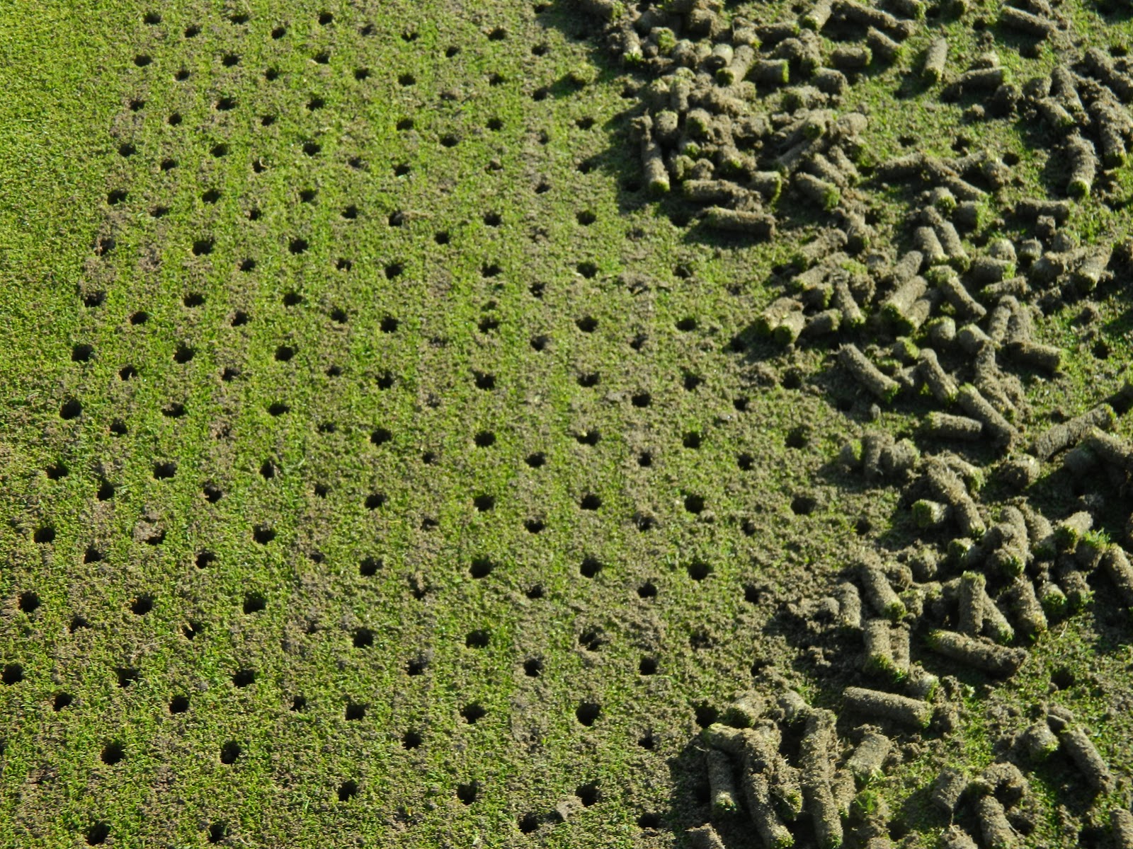 LGCC Golf Maintenance: Greens Aerification