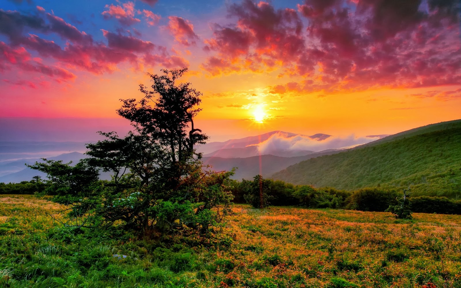 Banco de Imágenes Gratis: Puesta de sol en Carolina del Norte - Sunset ...