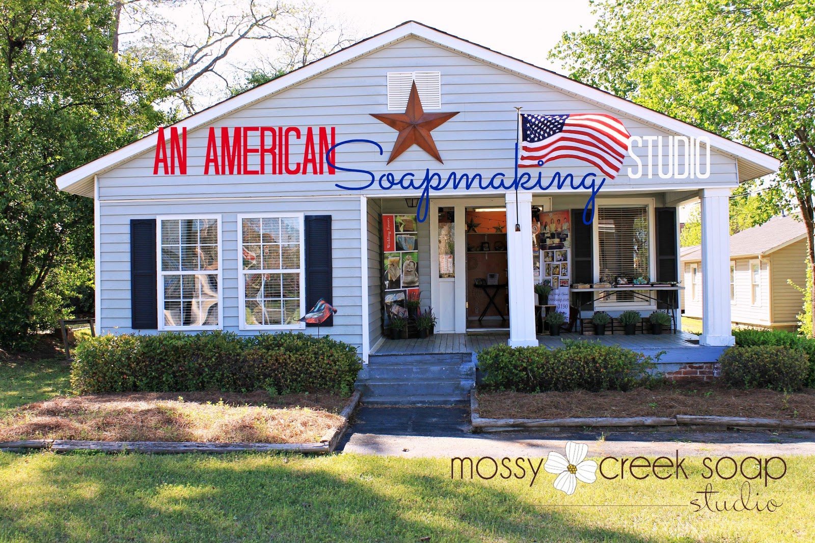 Healthy Living with Mossy Creek Soap: Visit our small town american ...