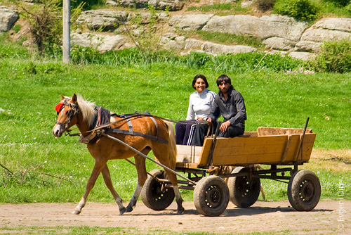 .:Нов живот:.: Каруца блъсна пешеходци