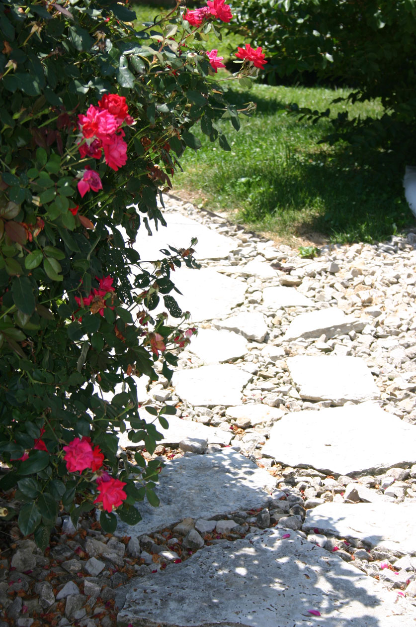 Kelly Riggs Photography: Nature