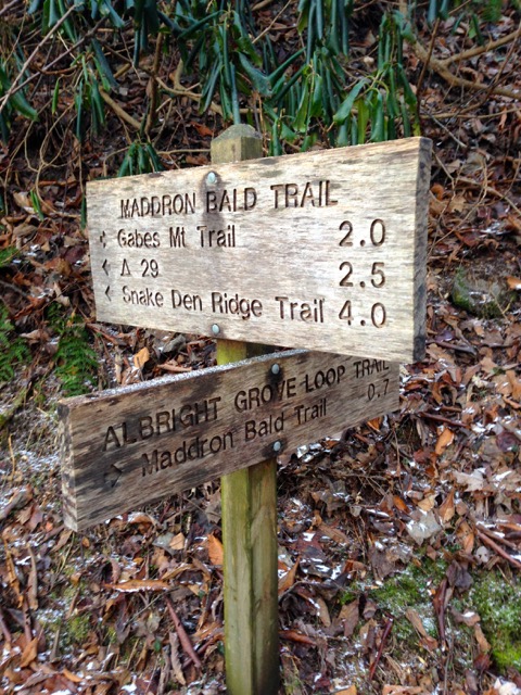 900 miles: Maddron Bald and Albright Grove Loop Trails