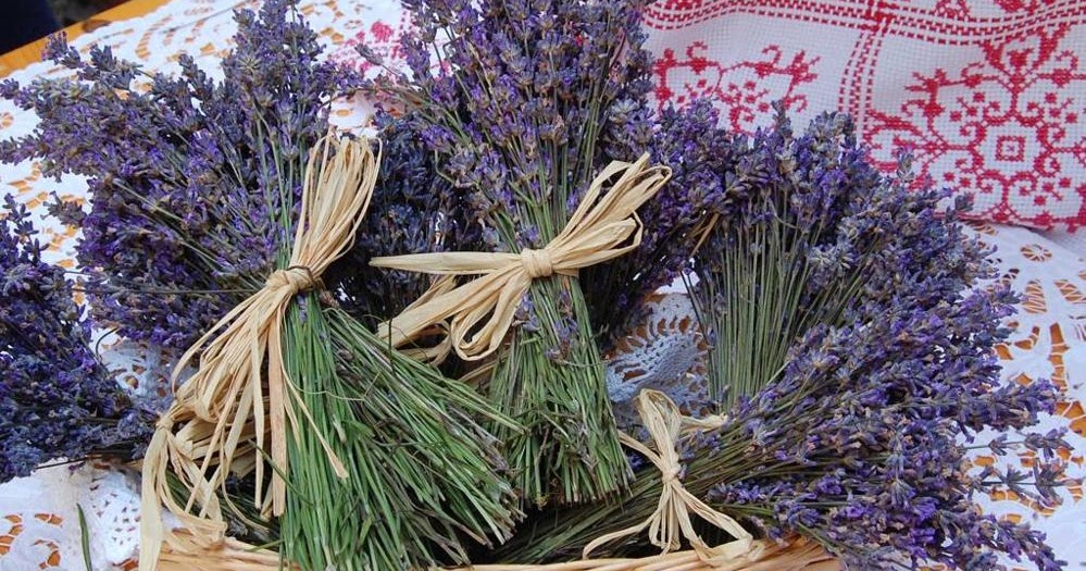 ilclanmariapia: Lavanda Col di Nava