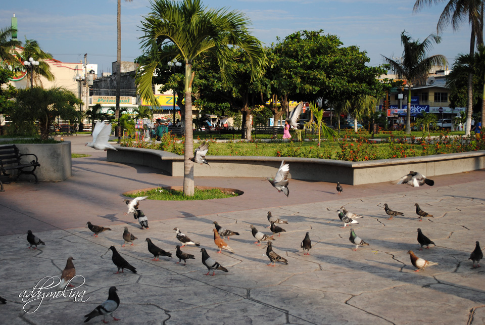 Cachivaches: Tintero de lo incierto: Ciudad Cardel, Veracruz (Fotografía)