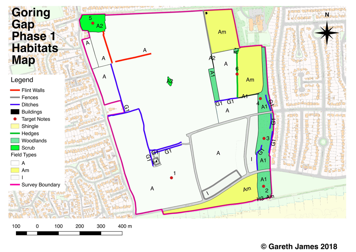 Gareth James Blog: Goring Gap - My Patch