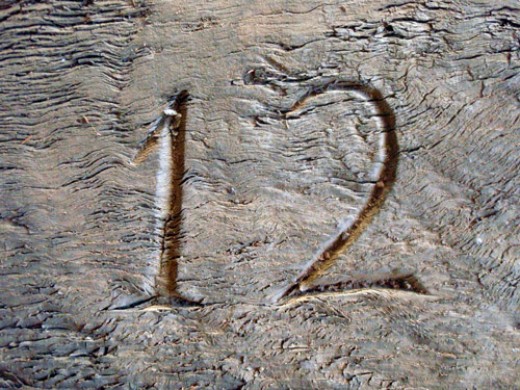 WE WERE JUST WONDERING: MYTHOLOGY