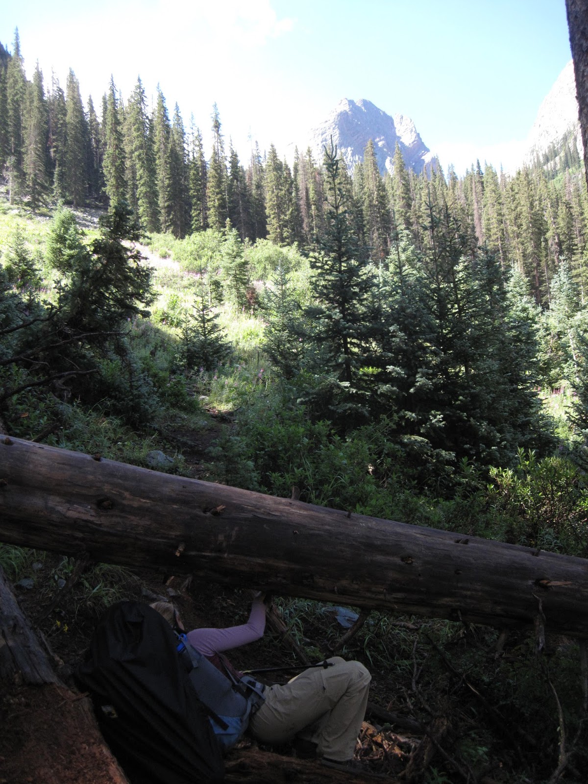 Colorado Mountaineering: Featured Route: Wham Ridge (III 5.4) of Vestal ...