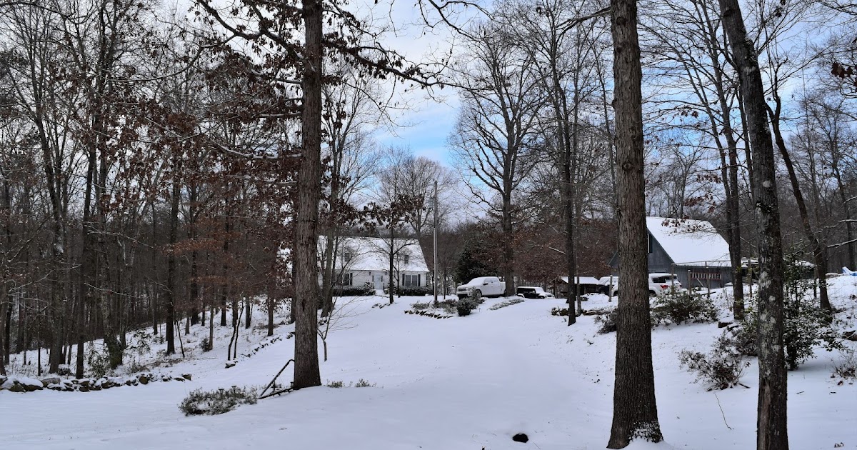 MSIMJ excursions: First Snow of 2017!