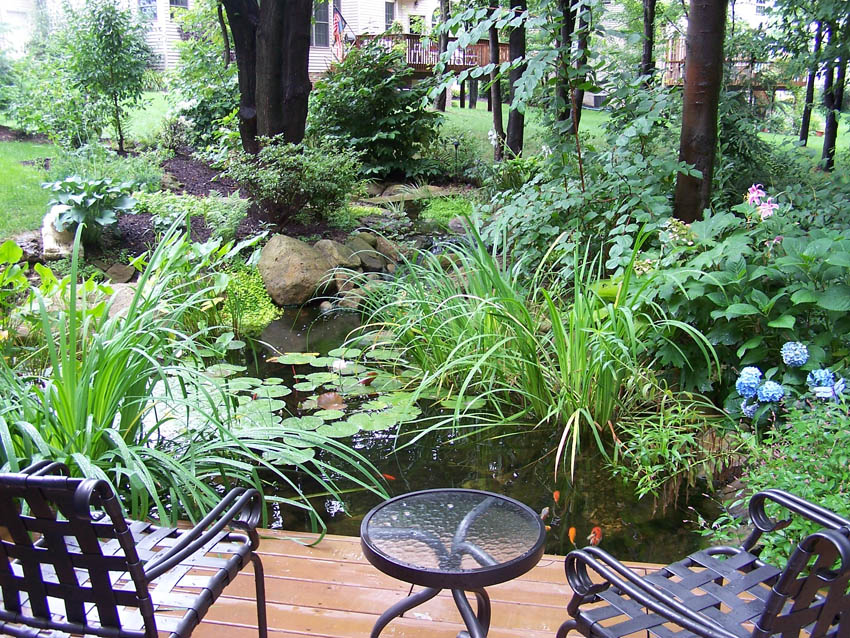 Aquascape Your Landscape: Outdoor Dining by the Pond
