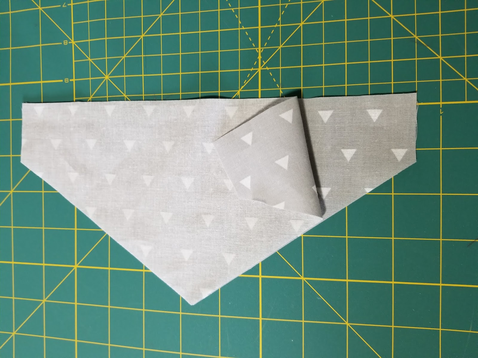 Sewing for your Pooch!