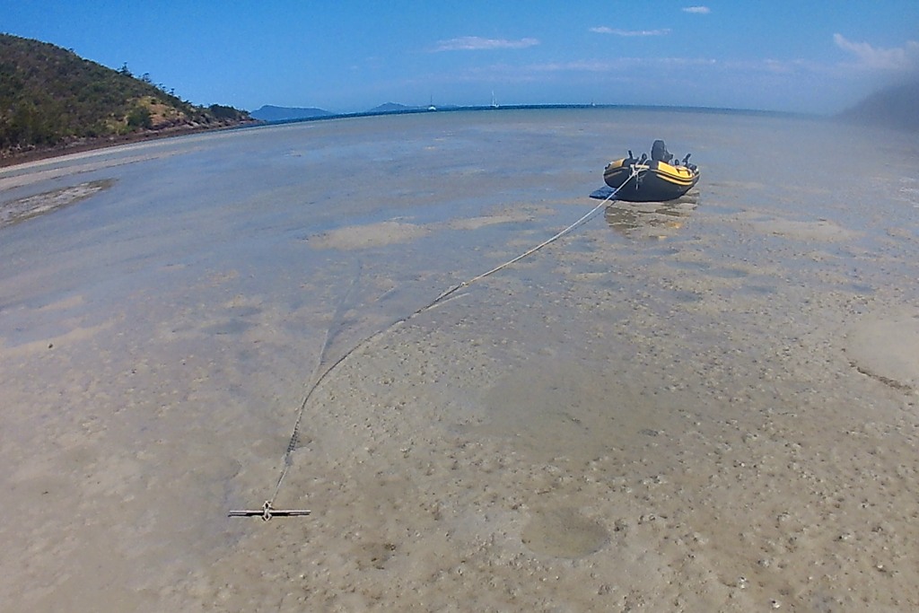 Dreamtime Sail: Goldsmith Island - More fish, great beach, a badly ...