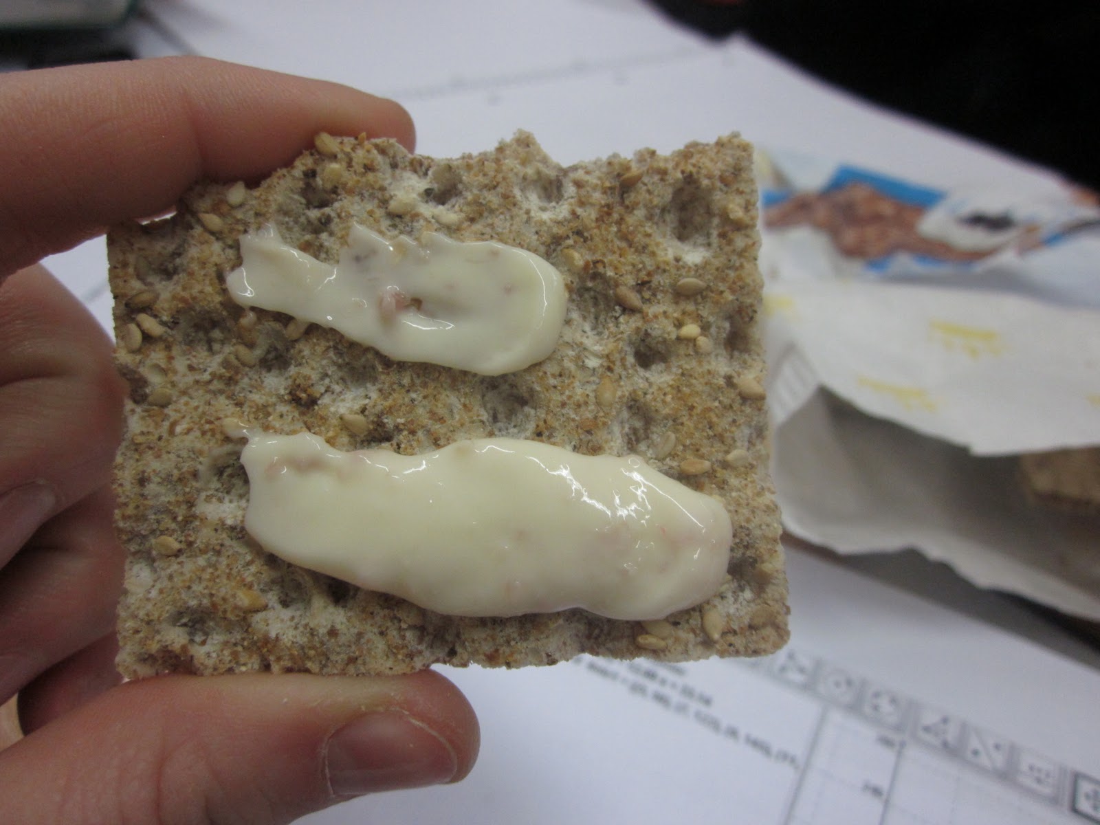 Norway!: Winter Camp and Cheese in a Tube