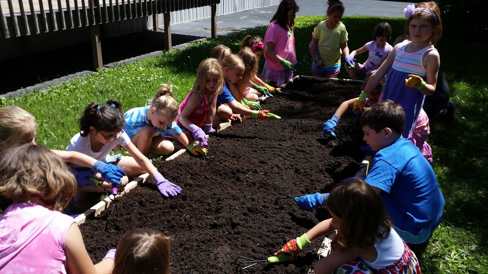 Summer School Students Learn About Gardening | Johnson Creek Schools