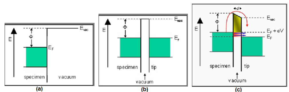 Mari Berkenalan dengan Scanning Tunneling Microscopy (STM) ~ Material ...