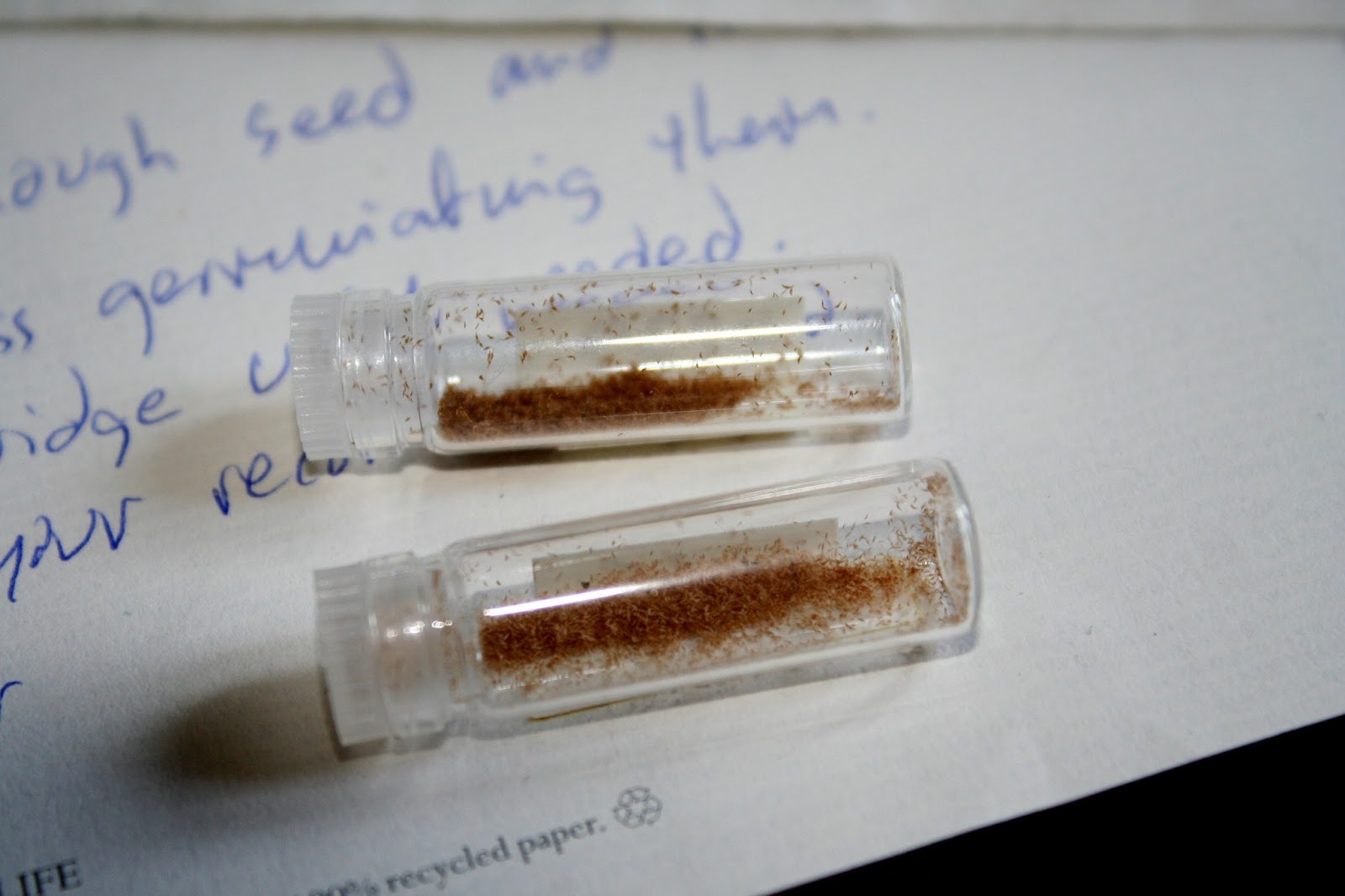 The orchid study blog