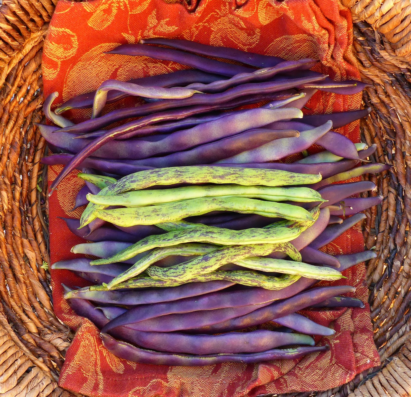 From Seed To Table: Harvest Monday - August 17, 2015