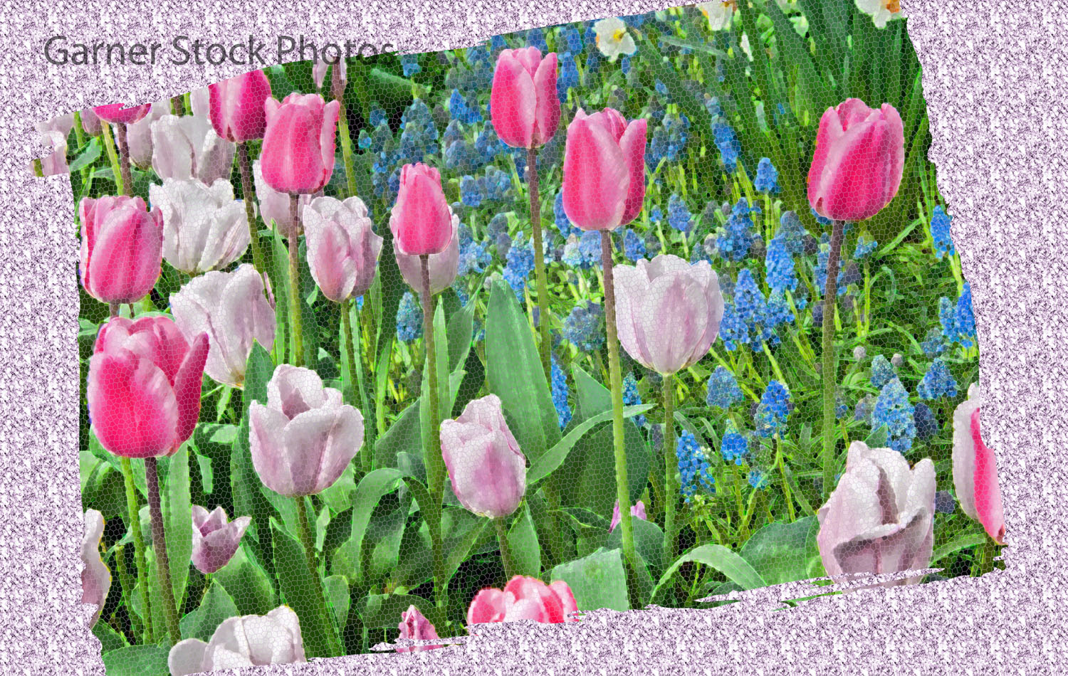 Stock and Fine Art Photos: Abstract Spring Floral