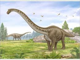 prehistoricmonster: Seismosaurus