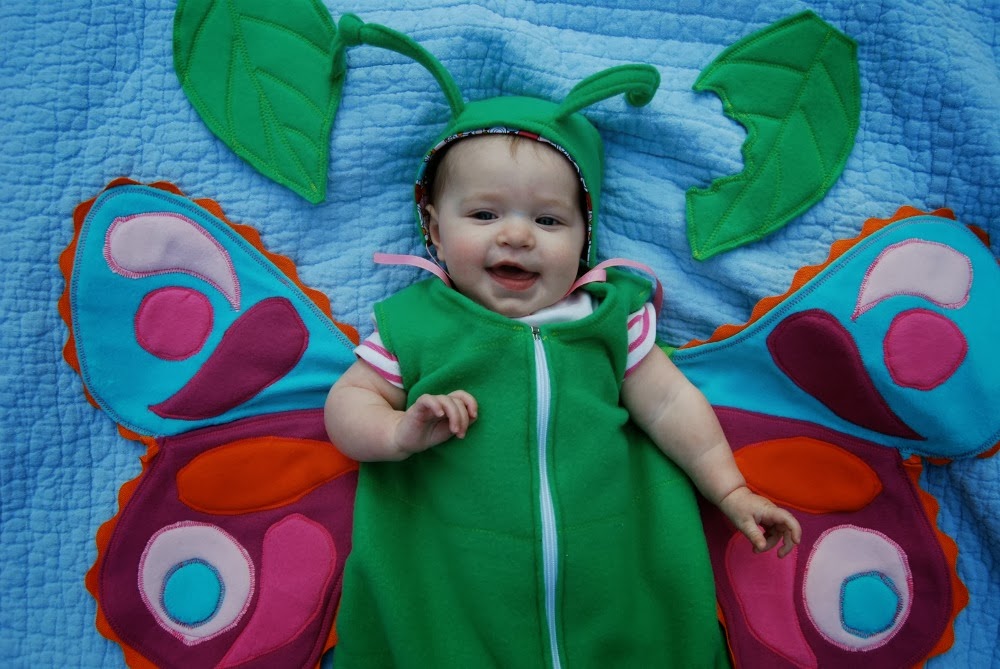 liza jane sews: Life Cycle Of A Butterfly