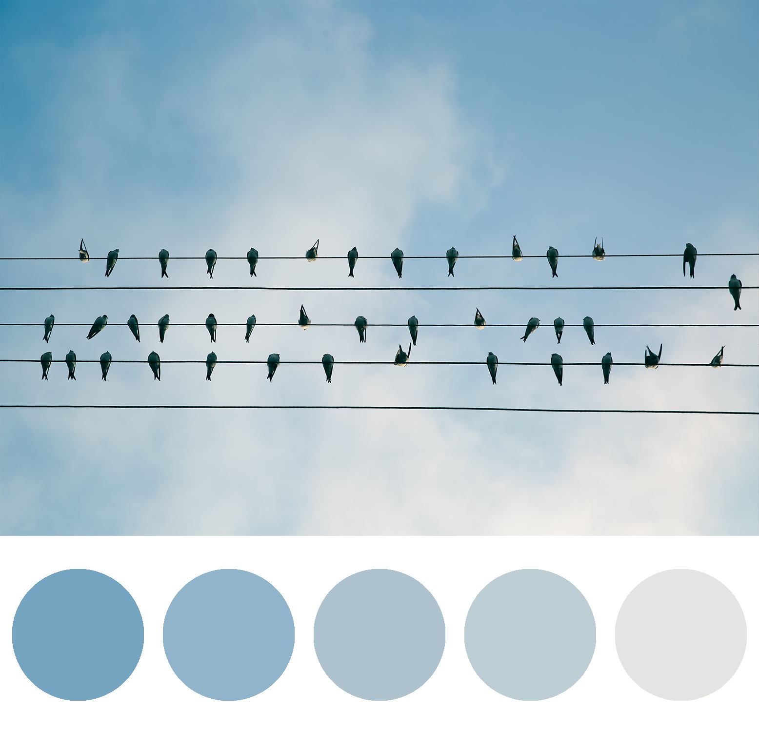 Thin lane - Search the Color