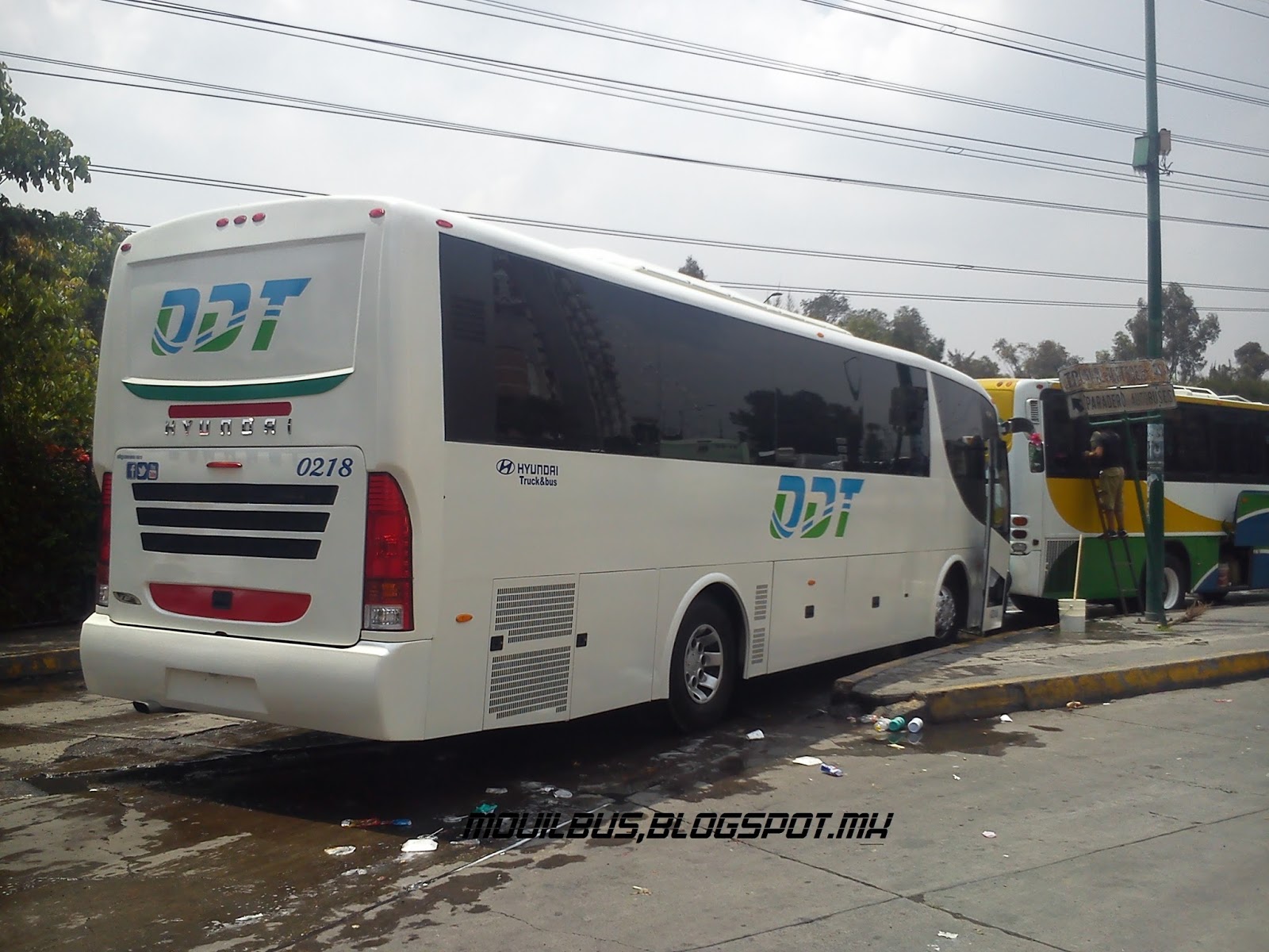 HYUNDAI TB OMNIBUS DE TIZAYUCA.
