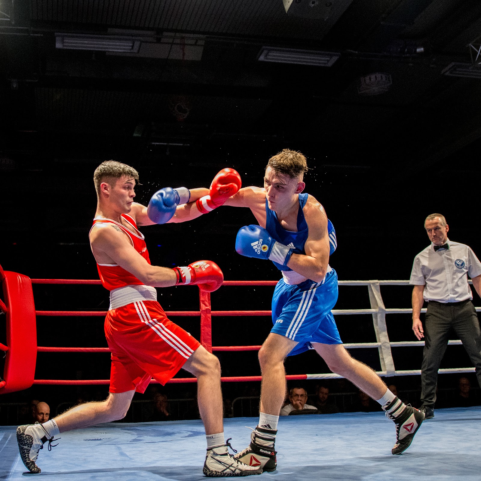 TageBilder: Boxen – Boxing VS gegen Irland – Das war die Boxgala am 15 ...