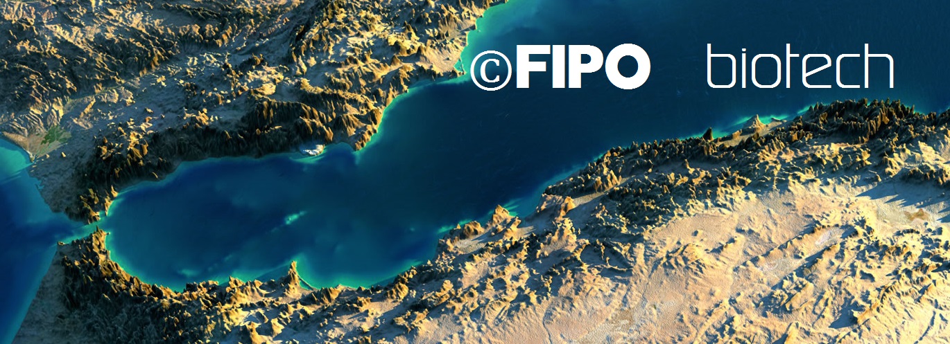 FIPO BIOTECH soluciones innovadoras