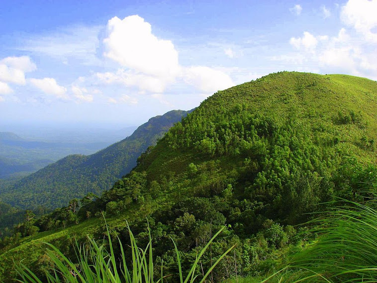 God's Own Country: Ponmudi
