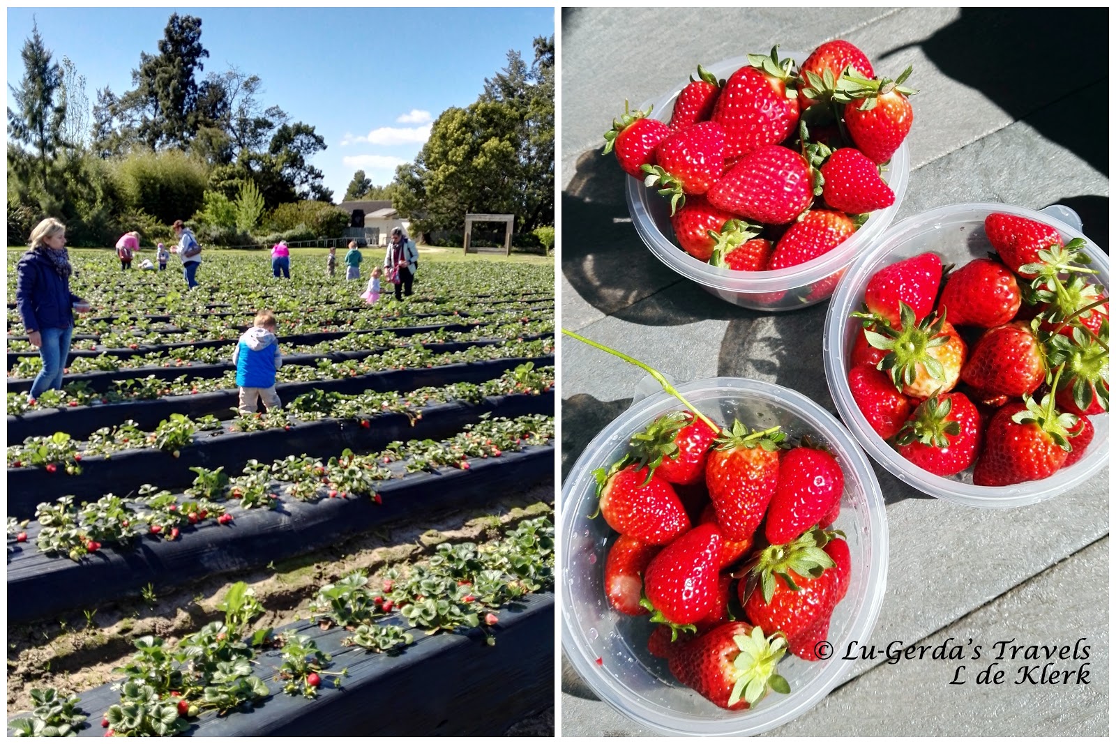 Our favourite kids outings in George