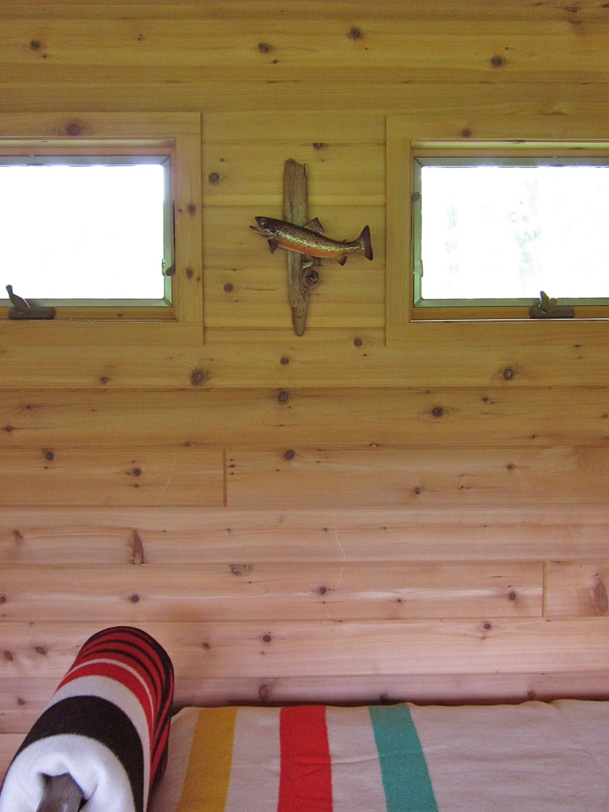 The William Brown Project: THE CABIN AT WM BROWN FARM