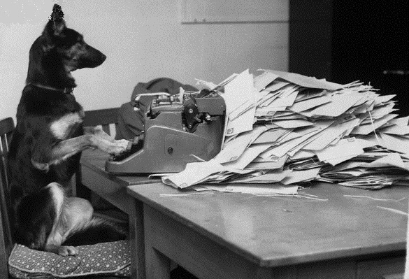 Dog Typewriter
