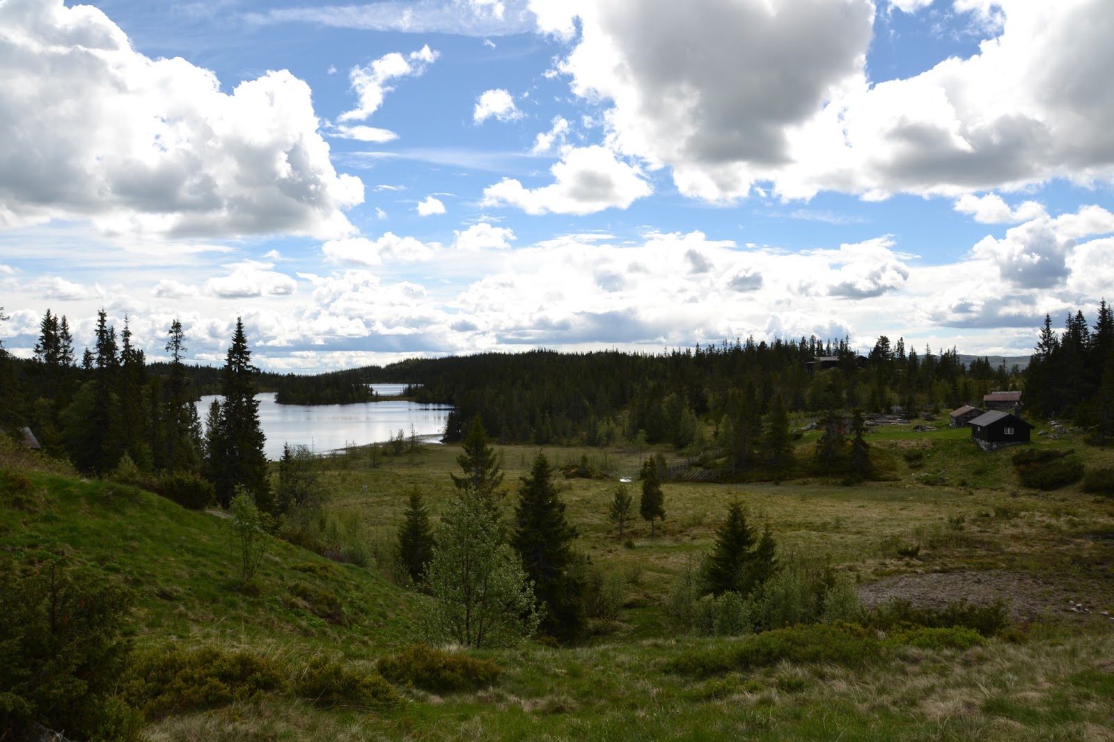 Rundtur Tempelseter - Høgevarde - Gamleseter - Tempelseter