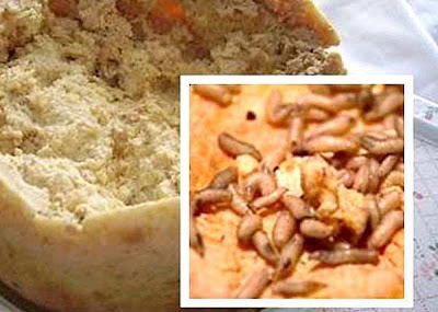 CASU MARZU: THE MAGGOT CHEESE OF THE MEDITERRANEAN - Stunning ...